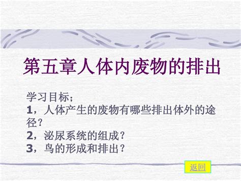 尿的形成和排出2word文档在线阅读与下载无忧文档
