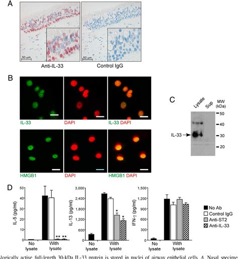 Figure 3 From The Danger Signal Extracellular Atp Is A Sensor For An