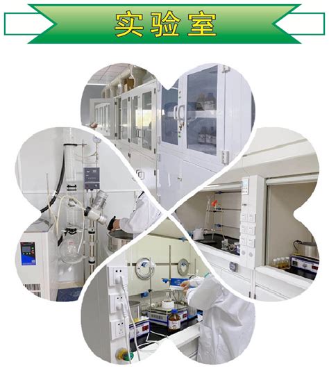 洋车前子壳粉 圆包车前子壳粉 谷物代餐粉 华肽生物 1kg起订 阿里巴巴