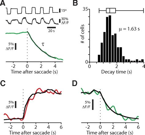 regression based identification of behavior encoding neurons during large scale optical imaging