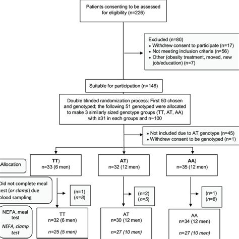 flow diagram participant selection and group allocation figure 1 is