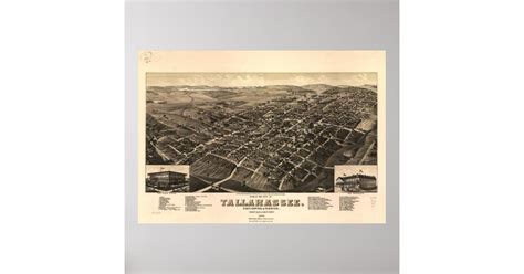 Vintage Pictorial Map Of Tallahassee Fl 1885 Poster Zazzle