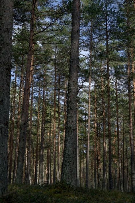 Бесплатные стоковые фото на тему атмосферный безмятежность