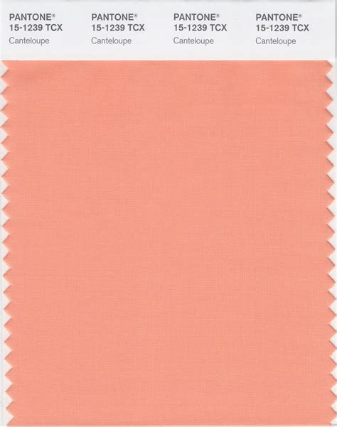 PANTONE Smart 15 1239X Scheda Campione Colore Canteloupe Amazon It