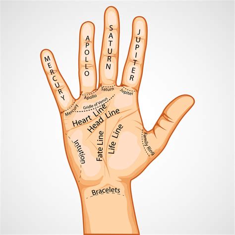 Palmistry Minor Lines Secondary Lines Palm Reading
