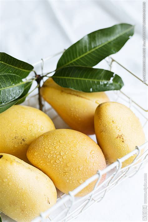 芒果摄影图水果生物世界摄影图库昵图网