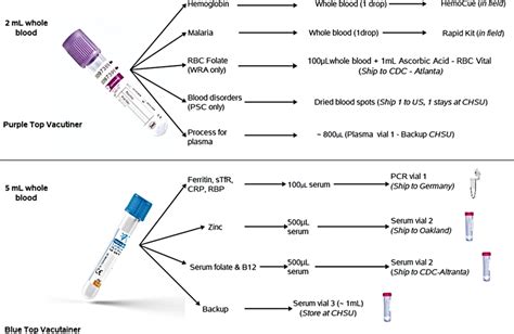 Describes The Specimen Volumes And Testing Approaches Download