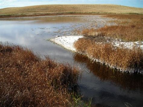 Regional Groundwater Flow Regional Groundwater Flow Commission