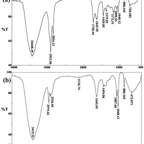 Fourier Transforms Infrared Spectroscopy Ftir Spectrum Of Artemisia