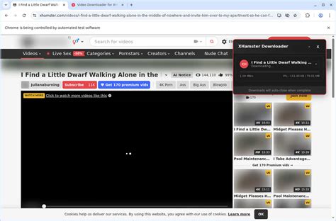 Xhamster Video Downloader Serp Tools