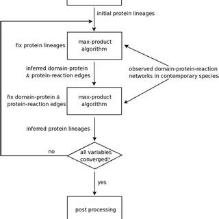 Schematic Of The DPR Network Reconstruction Algorithm A Collection Of