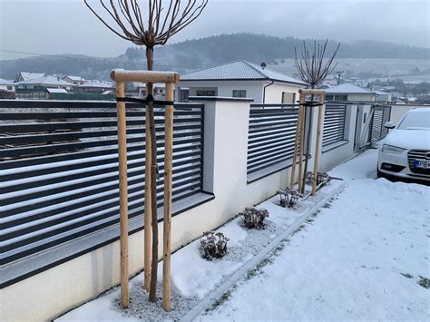 Skusenosti S Hlinikovym Plotom Branou Branickou Plot Modrastrechask