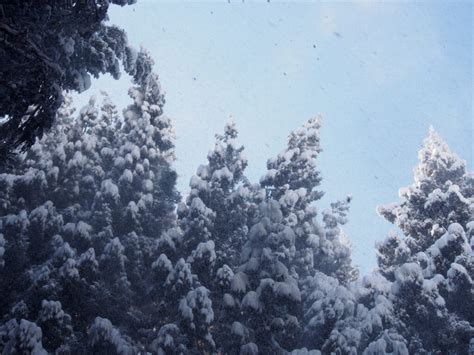 北陸地方（北陸3県）の「雪事情」とは？【湿った重い雪・特に集中豪雪も】 奈良まちジオグラフィック