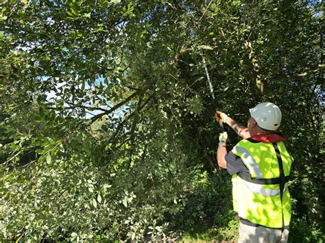 Python The Workboat We Met Maggie Maggie Is Adorable Maggies