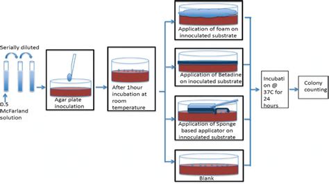 Schematic Of The Method Of Testing The Bactericidal Efficacy This