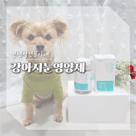 강아지 눈영양제 아이뮨 눈건강 면역력에도 좋은 애견종합영양제