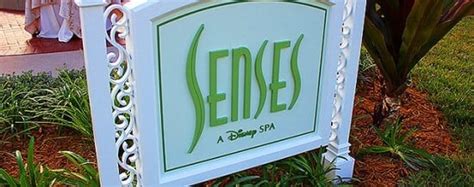 Inside The New Senses Spa At The Grand Floridian Resort Pampering Walt