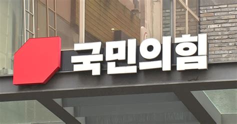 국민의힘 당 대표 선출방식 “당원투표 80·국민 여론조사 20” 결정