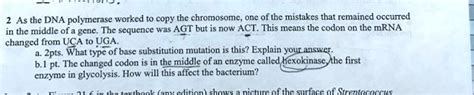 SOLVED As The DNA Polymerase Worked T0 Copy The Chromosome One 0f The Mistakes That Remained