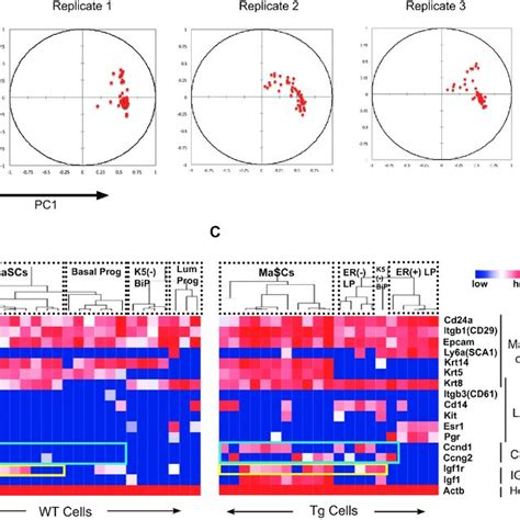 Single Cell Rna Seq Reveals The Heterogeneity Within The Masc Enriched