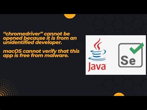 Quick Fix ChromeDriver Can T Open Due To Unknown Developer Error YouTube