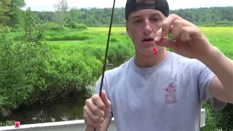 Brook Trout Catch And Cook Youtube