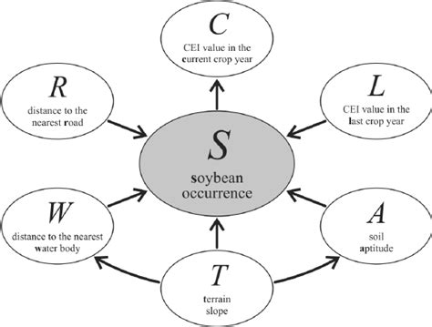 Directed Acyclic Graph Dag Encoding Assertions Of Conditional