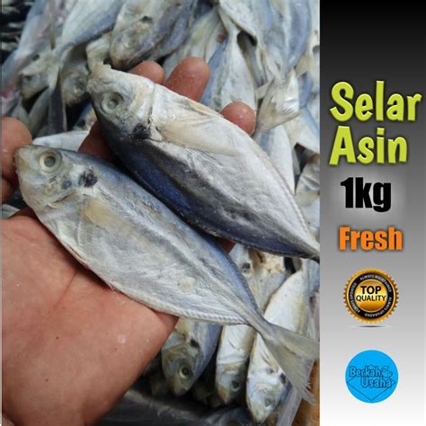 Jual IKAN ASIN SELAR 1KG IKAN ASIN MURAH GROSIR 1KG IKAN KERING IKAN