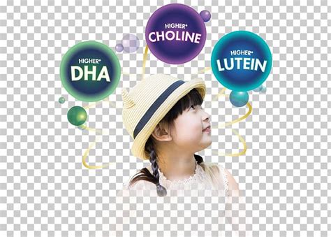 Steven Zeisel Nutrient Choline Health Docosahexaenoic Acid Png Clipart