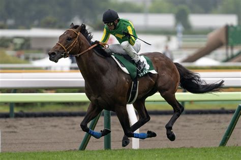 重賞回顧 遅れてきた素質馬サトノレーヴがインを強襲！ 実りの秋へ、夢が広がる重賞初制覇～2024年・函館スプリントs～ ウマフリ