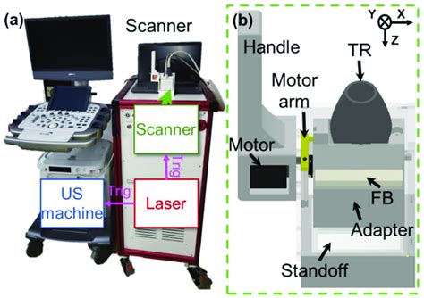A Photograph Of A Clinical Handheld Pa Us Imaging System And A 3d Download Scientific Diagram
