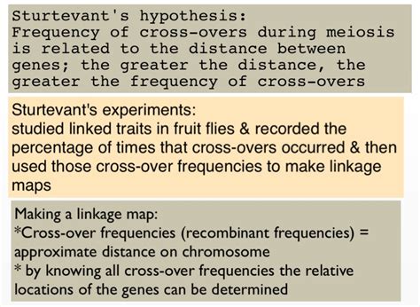 Gene Linkage Mapping And Sex Linked Genes Screen 10 On Flowvella