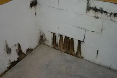 How To Prevent Basement Flooding Clean Basement