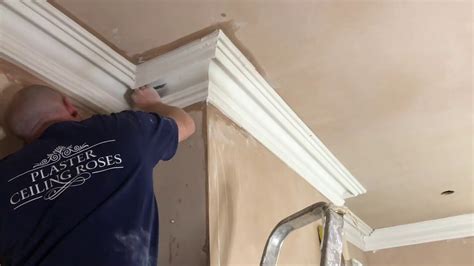 Ceiling Coving Victorian