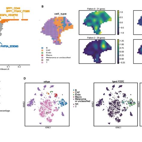 Spatialdm Identifies Differential Lr Interaction Between Foetus And
