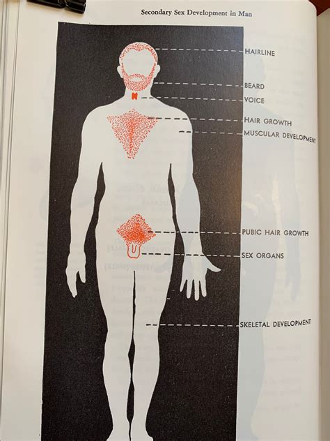1964 Vintage Book Sex Ed Sex Without Fear Great Etsy