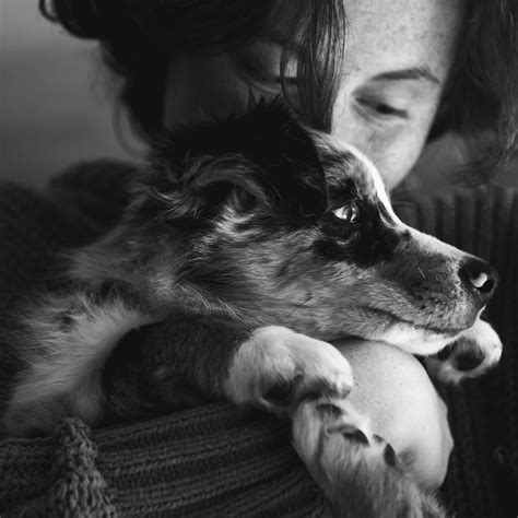 Test Codes For Fecal Dx Antigen Testing Idexx Us