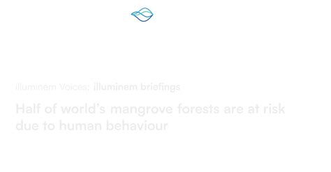 Half Of Worlds Mangrove Forests Are At Risk Due To Human Behaviour