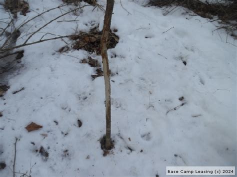 Jefferson County New York Hunting Lease Property 9726 Base Camp