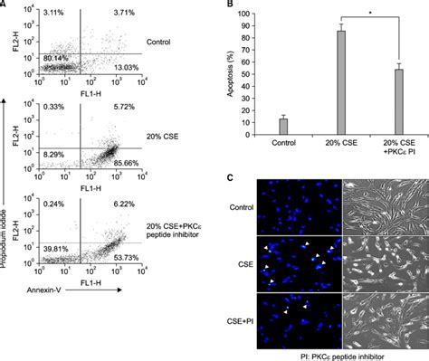 Flow Cytometry Analysis Using Annexin V And Pi Staining And Hoechst