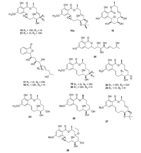 C Fungal Macrolides With Antimalarial Activity 15 28 Download
