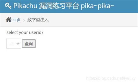 pikachu靶场练习——数字型注入 pikachu靶场数字型注入 csdn博客
