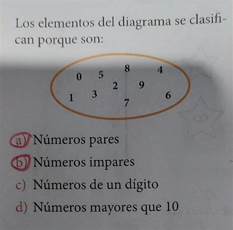 Los Elementos Del Diagrama Se Clasifi Can Porque Son 8 4 0 5 2 9 9 1