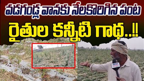 కామరెడ్డిలో వడగండ్ల వానకు రైతుల పరిస్థతి చూడండి Kamareddy Farmers