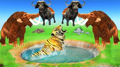 Mammoth Elephant Rescue Buffalos From Tiger Attack Woolly Mammoth Vs