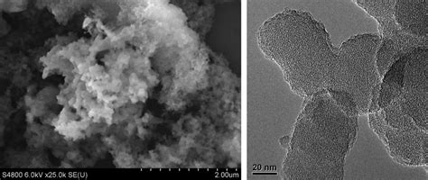 SeM Left And TeM Right Images Of HCP TCPP Download Scientific Diagram