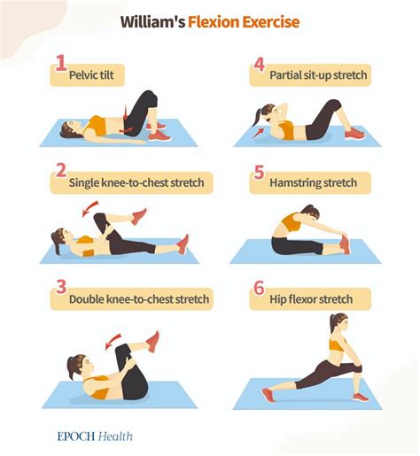 Lower Back Exercises Slipped Disc