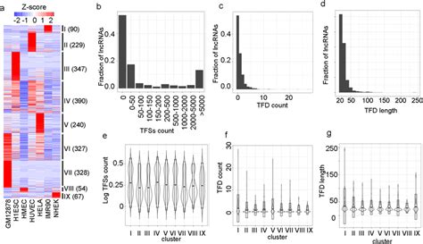 Lncrnas Expression Patterns And Their Triplex Forming Sites A Download Scientific Diagram