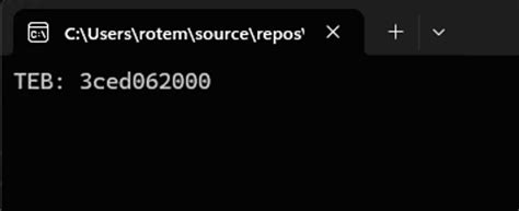 Assembly Teb Representation For Arm64 Xpr Register Stack Overflow