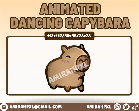 Dancing Capybara Animated Emote Cappy Emotes Cute Emotes Chibi Emotes